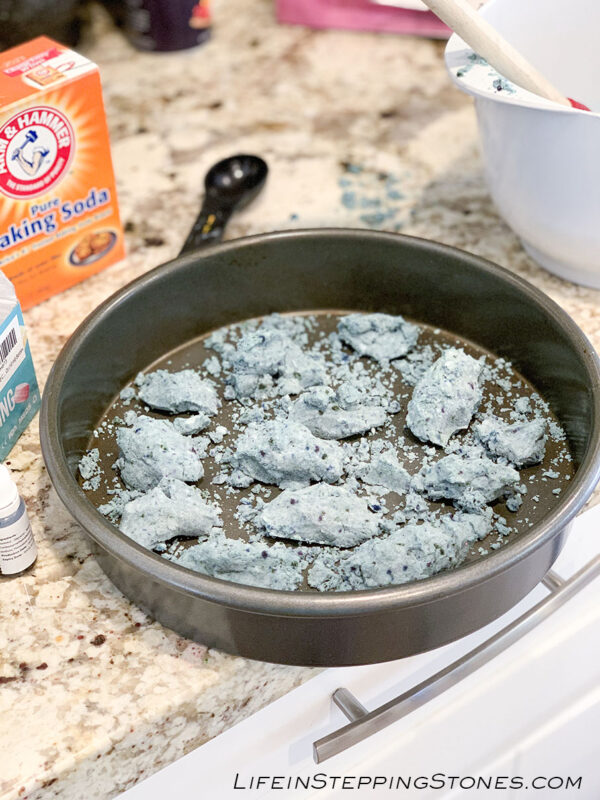 The Best Homeschooling Trip to Outer Space | Life in Stepping Stones